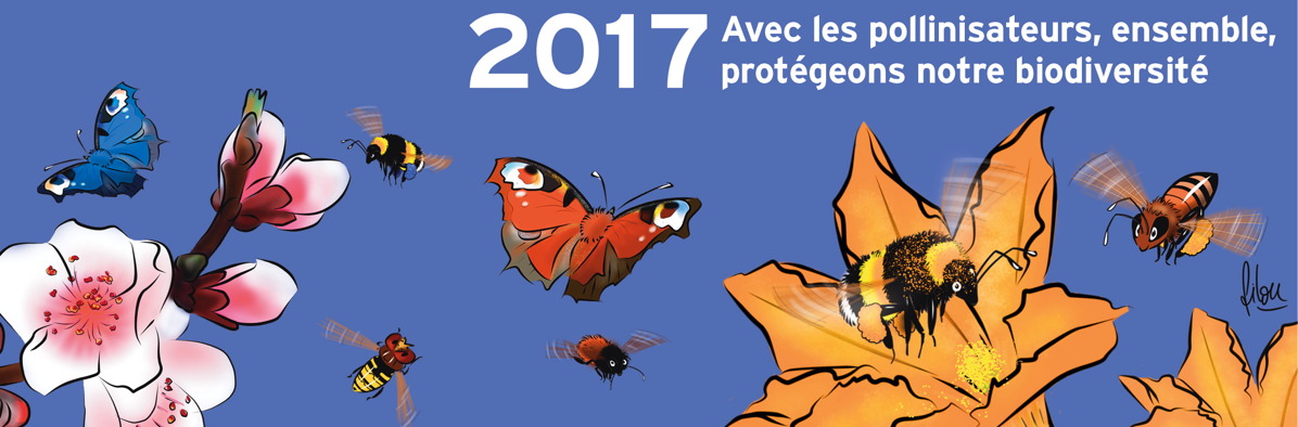 UNAF - Union Nationale de l’Apiculture Française UNAF - Union Nationale de l’Apiculture Française